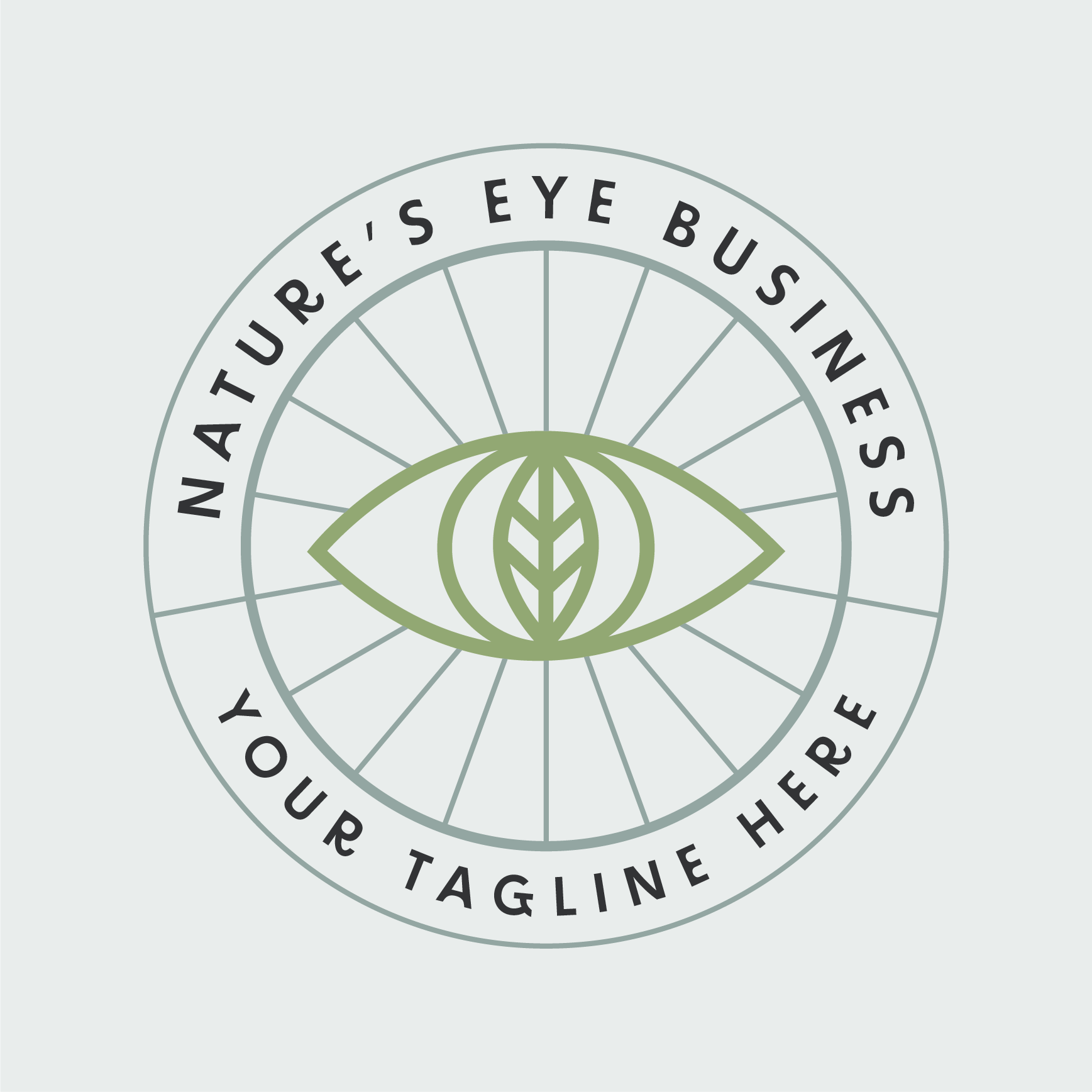 Nature‘s Eye Premade Logo - Indus Design Co.