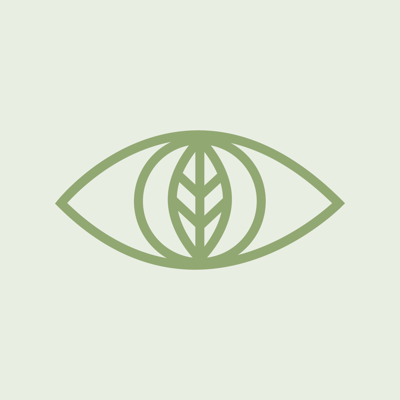 Nature‘s Eye Premade Logo - Indus Design Co.